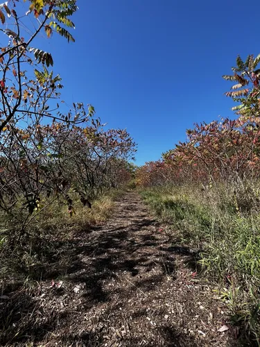 Best Hikes and Trails in Rasmussen Park | AllTrails