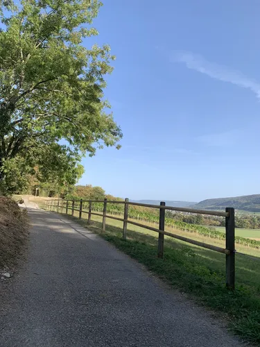 Best Hikes and Trails in Leymen | AllTrails