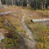 Cave Basin Trail, Colorado - 101 Reviews, Map | AllTrails