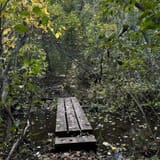 Batchelder Park Trail Loop, Massachusetts - 321 Reviews, Map | AllTrails