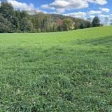 Batchelder Park Trail Loop, Massachusetts - 321 Reviews, Map | AllTrails