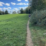 Batchelder Park Trail Loop, Massachusetts - 321 Reviews, Map | AllTrails