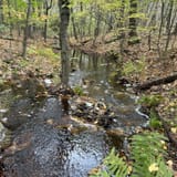 Monument Trail Loop, New Jersey - 1,793 Reviews, Map | AllTrails