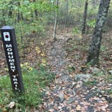 Monument Trail Loop, New Jersey - 1,793 Reviews, Map | AllTrails