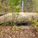 Geyser Loop Trail, New York - 1,758 Reviews, Map | AllTrails