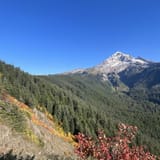 McNeil Point Trail, Oregon - 2,717 Reviews, Map | AllTrails