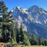 Brohm Ridge Trail, British Columbia, Canada - 36 Reviews, Map | AllTrails