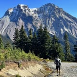 Brohm Ridge Trail, British Columbia, Canada - 36 Reviews, Map | AllTrails