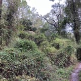 Santos and Vortex Area Bike Trails Loop, Florida - 728 Reviews, Map ...