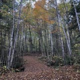 Livermore Road Trail, New Hampshire - 105 Reviews, Map | AllTrails