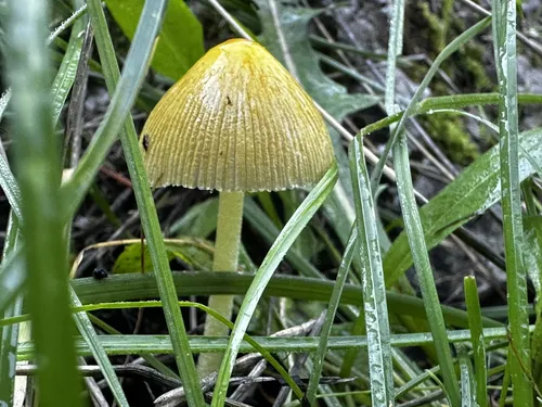 Best Hikes and Trails in Cooks Butte Park | AllTrails