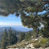Round Valley Trail to Wellman Divide, California - 449 Reviews, Map ...