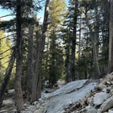 Round Valley Trail to Wellman Divide, California - 449 Reviews, Map ...