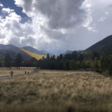 Inner Basin Trail, Arizona - 826 Reviews, Map | AllTrails