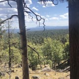 Inner Basin Trail, Arizona - 826 Reviews, Map | AllTrails