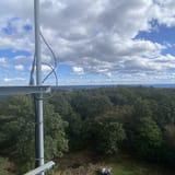 Mount Toby Trail, Massachusetts - 959 Reviews, Map | AllTrails