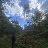 Mount Toby Trail, Massachusetts - 959 Reviews, Map | AllTrails