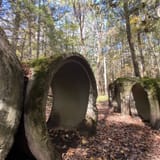 Mount Toby Trail, Massachusetts - 959 Reviews, Map | AllTrails