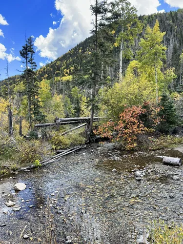 Best Walking Trails in Red River | AllTrails