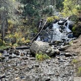Middle Fork Lake Trail, New Mexico - 869 Reviews, Map | AllTrails