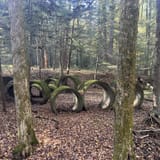 Mount Toby Trail, Massachusetts - 982 Reviews, Map | AllTrails