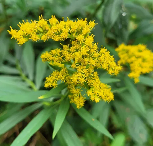 Best Hikes and Trails in Ringing Rock Park | AllTrails