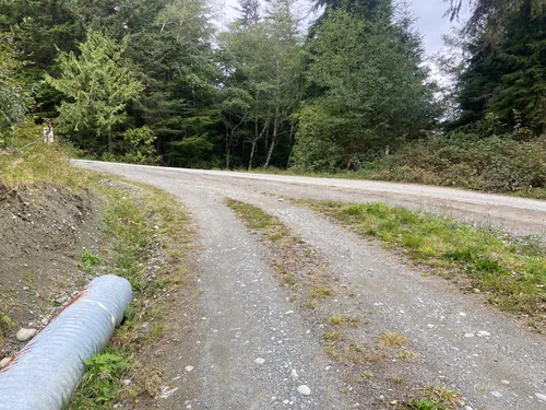 Best Hikes and Trails in Alert Bay Ecological Park | AllTrails