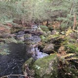 Catamount Hill Trail and One Mile Trail Loop, New Hampshire - 620 ...