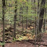 Catamount Hill Trail and One Mile Trail Loop, New Hampshire - 620 ...