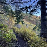 Scout Falls via Mount Timpanogos Trail, Utah - 2,155 Reviews, Map ...
