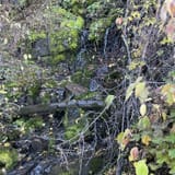 Scout Falls via Mount Timpanogos Trail, Utah - 2,155 Reviews, Map ...