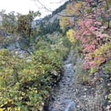 Scout Falls via Mount Timpanogos Trail, Utah - 2,155 Reviews, Map ...