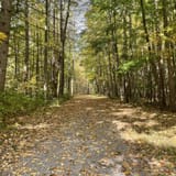 Canadice Lake Walking Path, New York - 359 Reviews, Map | AllTrails
