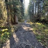 Emerald Lake Loop, British Columbia, Canada - 2,387 Reviews, Map ...