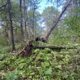 Boston Lot Lake, New Hampshire - 728 Reviews, Map | AllTrails