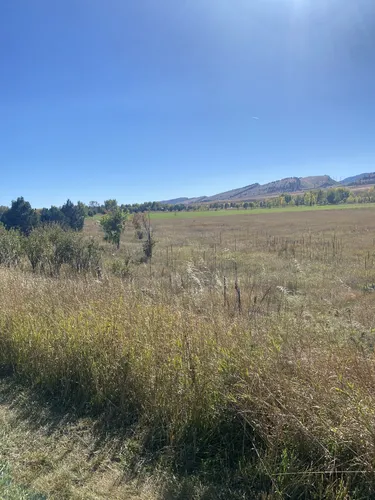 Best Hikes and Trails in Spring Canyon Park | AllTrails