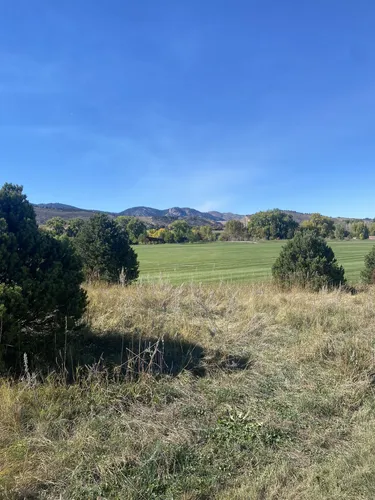 Best Hikes and Trails in Spring Canyon Park | AllTrails