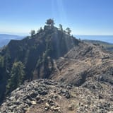 Red Top Lookout Trail, Washington - 575 Reviews, Map | AllTrails