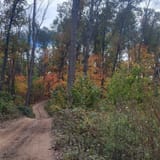 Spider Lake OHV Trail, Minnesota - 48 Reviews, Map | AllTrails