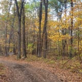 Spider Lake OHV Trail, Minnesota - 48 Reviews, Map | AllTrails