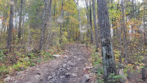 Best Off Road Driving Trails in Minnesota | AllTrails