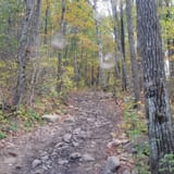 Spider Lake OHV Trail, Minnesota - 48 Reviews, Map | AllTrails