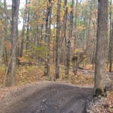 Spider Lake OHV Trail, Minnesota - 48 Reviews, Map | AllTrails