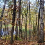 Spider Lake OHV Trail, Minnesota - 48 Reviews, Map | AllTrails
