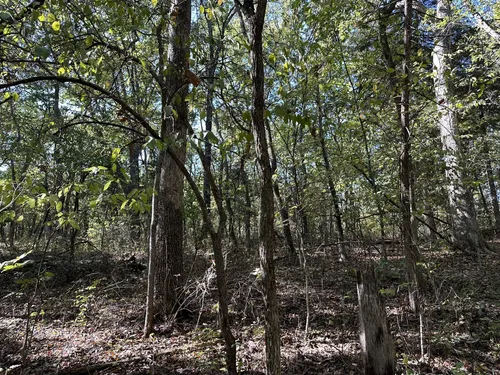 Best Hikes and Trails in Binder Memorial Park | AllTrails