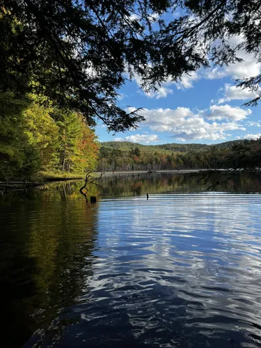 2023 Best River Trails in Epsom | AllTrails