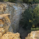 River Bluff Trail Loop, Illinois - 358 Reviews, Map | AllTrails