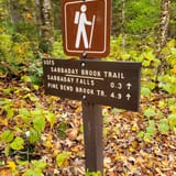 Sabbaday Falls , New Hampshire - 1,371 Reviews, Map | AllTrails