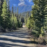 Karst Spring Trail, Alberta, Canada - 848 Reviews, Map | AllTrails