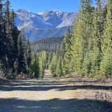 Karst Spring Trail, Alberta, Canada - 848 Reviews, Map | AllTrails